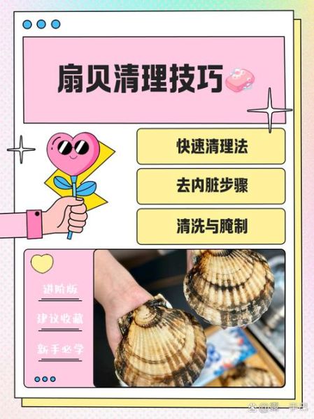 扇贝怎么清洗_扇贝清洗视频教程-第1张图片-山城妙识 扇贝怎么清洗_扇贝清洗视频教程-第1张图片-山城妙识