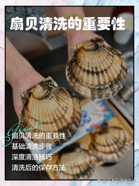 扇贝怎么清洗_扇贝清洗视频教程-第2张图片-山城妙识 扇贝怎么清洗_扇贝清洗视频教程-第2张图片-山城妙识