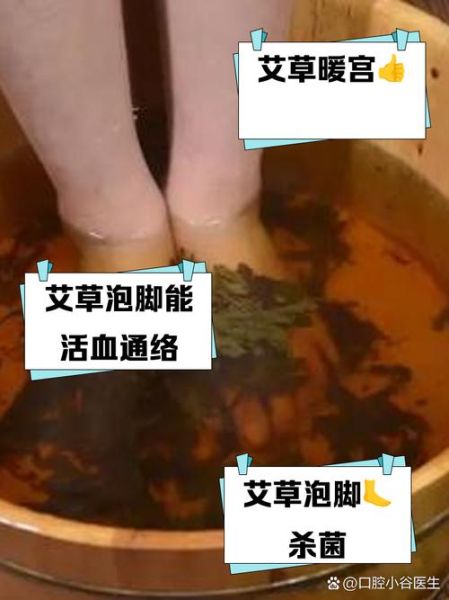 艾草泡脚能减肥吗_艾草泡脚减肥原理-第1张图片-山城妙识 艾草泡脚能减肥吗_艾草泡脚减肥原理-第1张图片-山城妙识
