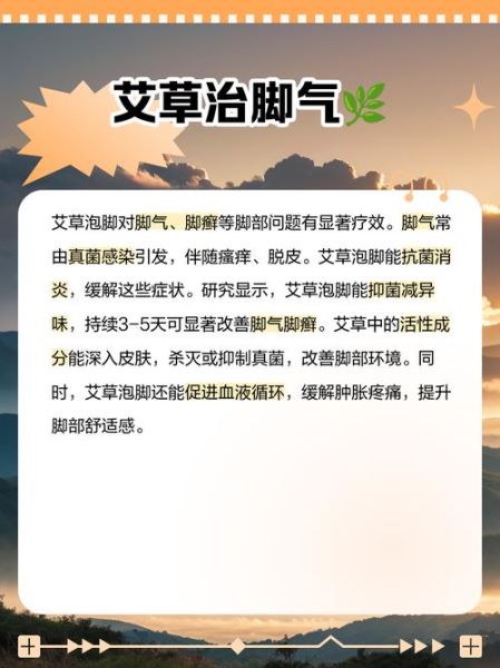 艾草泡脚能减肥吗_艾草泡脚减肥原理-第3张图片-山城妙识 艾草泡脚能减肥吗_艾草泡脚减肥原理-第3张图片-山城妙识