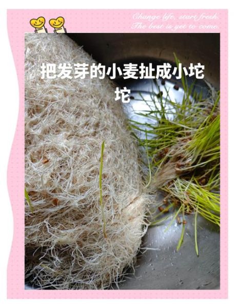 麦芽糖怎么吃_麦芽糖可以直接吃吗-第1张图片-山城妙识 麦芽糖怎么吃_麦芽糖可以直接吃吗-第1张图片-山城妙识