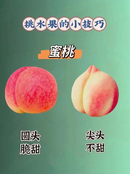 好吃的水果有哪些_如何挑选新鲜水果-第1张图片-山城妙识 好吃的水果有哪些_如何挑选新鲜水果-第1张图片-山城妙识