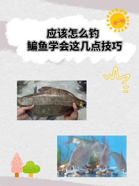 钓鳊鱼用什么饵料_钓鳊鱼的最佳时间-第1张图片-山城妙识