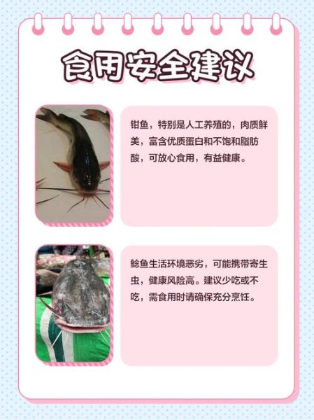 钳鱼和鲶鱼的区别_如何一眼分辨-第1张图片-山城妙识