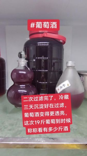 自酿葡萄酒发酵多少天_发酵温度多少合适-第2张图片-山城妙识