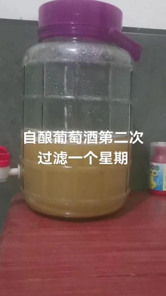 自酿葡萄酒发酵多少天_发酵温度多少合适-第1张图片-山城妙识