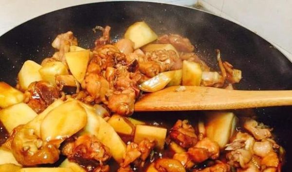 红烧野鸡怎么做好吃_红烧野鸡的做法大全-第3张图片-山城妙识