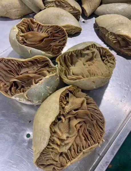 牛百叶和毛肚哪个贵_哪个好吃-第2张图片-山城妙识