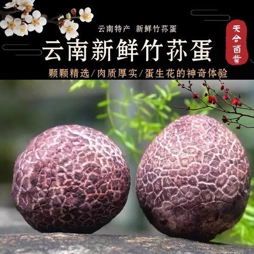 红托竹荪的功效与作用_红托竹荪怎么吃最好-第2张图片-山城妙识 红托竹荪的功效与作用_红托竹荪怎么吃最好-第2张图片-山城妙识