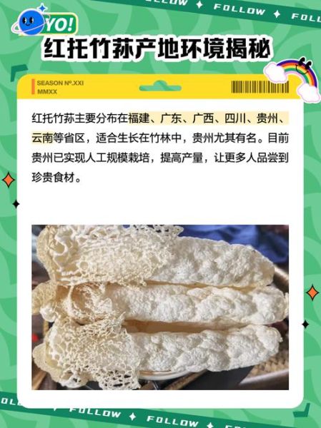 红托竹荪的功效与作用_红托竹荪怎么吃最好-第1张图片-山城妙识 红托竹荪的功效与作用_红托竹荪怎么吃最好-第1张图片-山城妙识