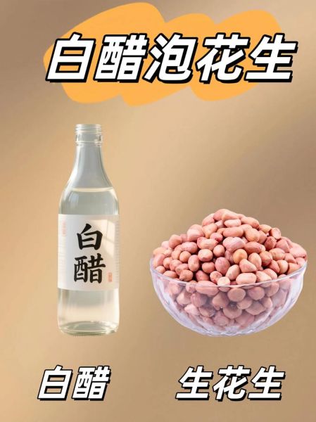 醋泡花生的功效与作用_一天吃多少合适-第1张图片-山城妙识