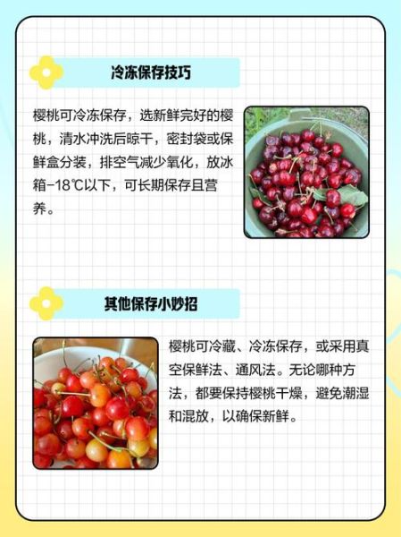 车厘子怎么保存时间长_车厘子冷藏能放多久-第1张图片-山城妙识 车厘子怎么保存时间长_车厘子冷藏能放多久-第1张图片-山城妙识