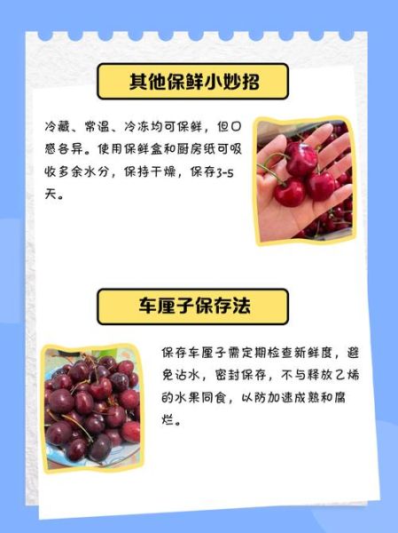 车厘子怎么保存时间长_车厘子冷藏能放多久-第2张图片-山城妙识 车厘子怎么保存时间长_车厘子冷藏能放多久-第2张图片-山城妙识