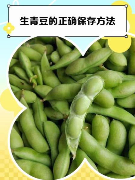 青豆怎么保存_青豆可以放冰箱冷冻吗-第2张图片-山城妙识 青豆怎么保存_青豆可以放冰箱冷冻吗-第2张图片-山城妙识