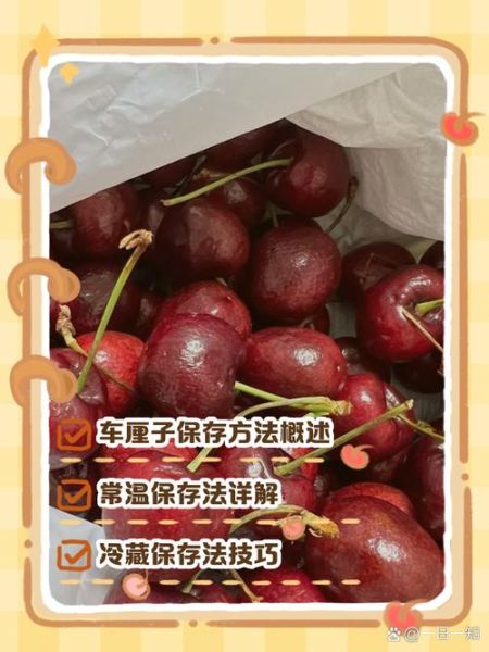 车厘子怎么保存时间长_车厘子冷藏能放多久-第3张图片-山城妙识 车厘子怎么保存时间长_车厘子冷藏能放多久-第3张图片-山城妙识