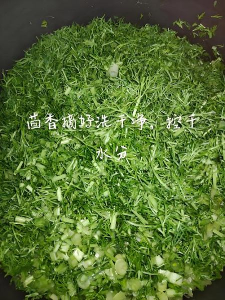 小茴香菜的功效与作用_小茴香菜怎么吃最好-第2张图片-山城妙识 小茴香菜的功效与作用_小茴香菜怎么吃最好-第2张图片-山城妙识