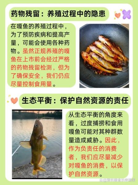 嘎鱼多少钱一斤_嘎鱼价格最新行情-第3张图片-山城妙识