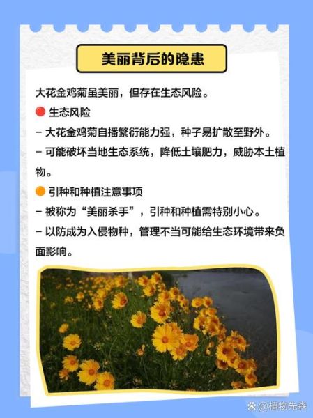 大花金鸡菊怎么养_大花金鸡菊的花期多长-第1张图片-山城妙识 大花金鸡菊怎么养_大花金鸡菊的花期多长-第1张图片-山城妙识