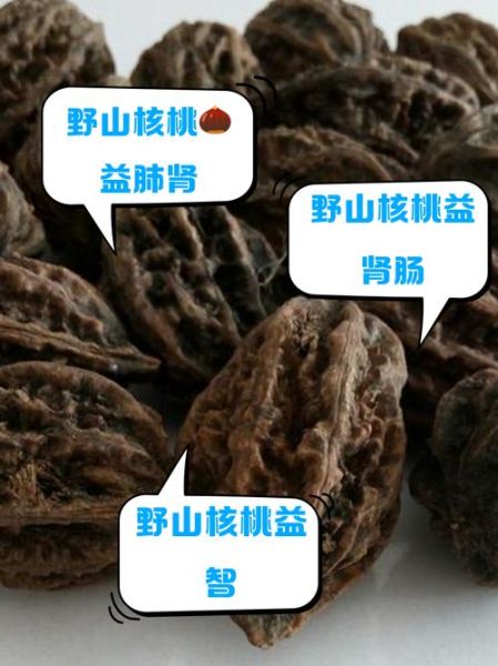 山核桃的功效与作用_山核桃的禁忌有哪些-第1张图片-山城妙识 山核桃的功效与作用_山核桃的禁忌有哪些-第1张图片-山城妙识