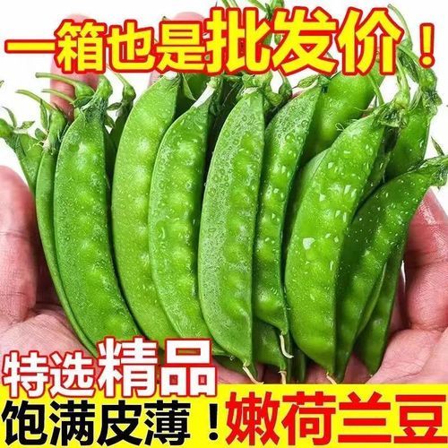 云南特色蔬菜有哪些_云南蔬菜怎么做好吃-第2张图片-山城妙识