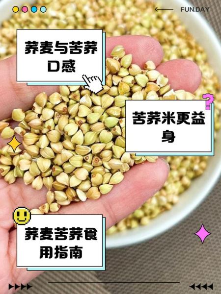 苦荞和荞麦的功效区别_哪个更适合三高人群-第3张图片-山城妙识