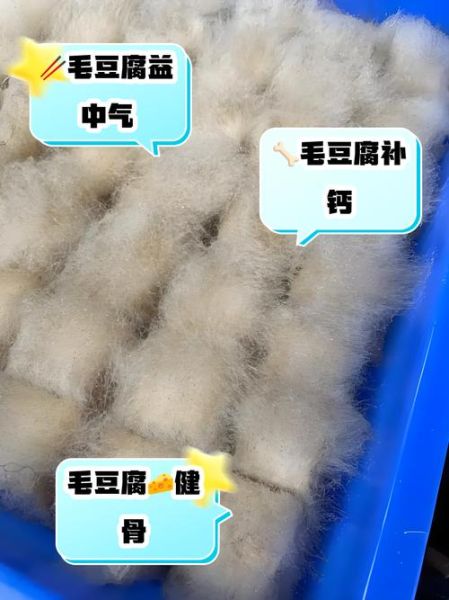 自制毛豆腐的做法窍门_毛豆腐长白毛怎么处理-第1张图片-山城妙识