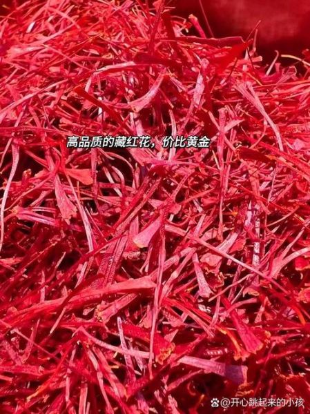 藏红花多少钱一克_藏红花价格为什么差距大-第3张图片-山城妙识 藏红花多少钱一克_藏红花价格为什么差距大-第3张图片-山城妙识