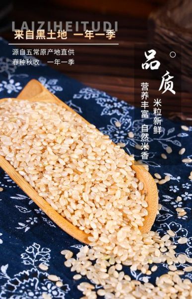 长期吃糙米饭的好处_糙米饭能减肥吗-第3张图片-山城妙识