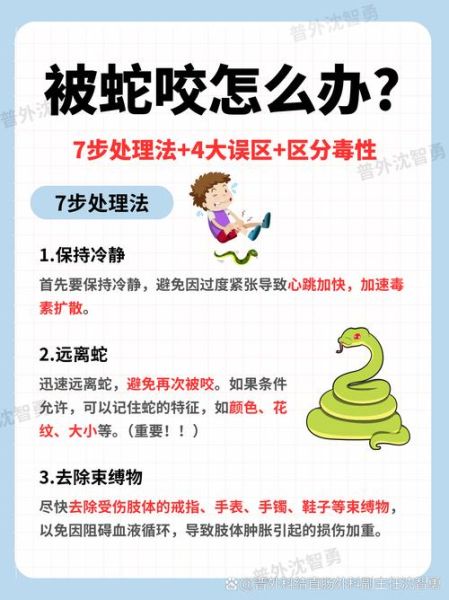 农村十大毒蛇有哪些_被咬后怎么办-第1张图片-山城妙识 农村十大毒蛇有哪些_被咬后怎么办-第1张图片-山城妙识