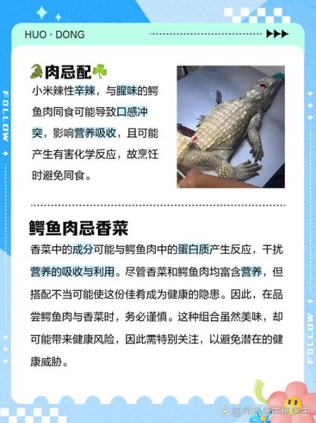 鳄鱼不能吃什么食物_鳄鱼饮食禁忌有哪些-第1张图片-山城妙识
