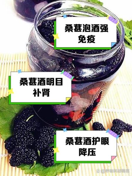 桑葚泡酒比例是多少_桑葚酒怎么泡才正宗-第3张图片-山城妙识 桑葚泡酒比例是多少_桑葚酒怎么泡才正宗-第3张图片-山城妙识