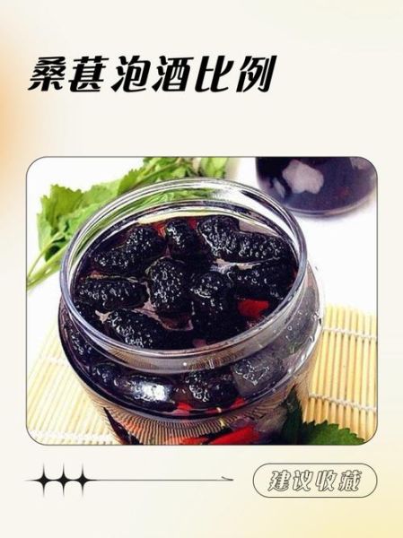 桑葚泡酒比例是多少_桑葚酒怎么泡才正宗-第1张图片-山城妙识 桑葚泡酒比例是多少_桑葚酒怎么泡才正宗-第1张图片-山城妙识