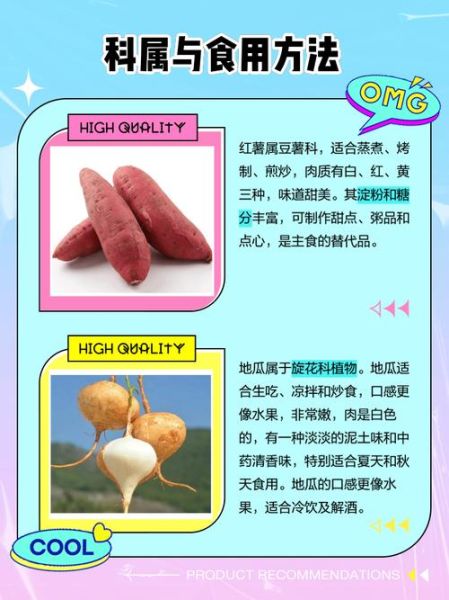 地瓜和红薯一样吗_地瓜和红薯的区别图片-第2张图片-山城妙识