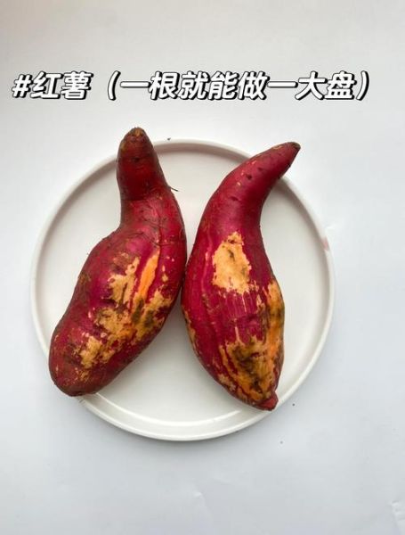 地瓜和红薯一样吗_地瓜和红薯的区别图片-第3张图片-山城妙识