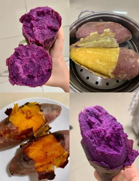 红薯和紫薯哪个更有营养_糖尿病人能吃红薯吗-第3张图片-山城妙识 红薯和紫薯哪个更有营养_糖尿病人能吃红薯吗-第3张图片-山城妙识