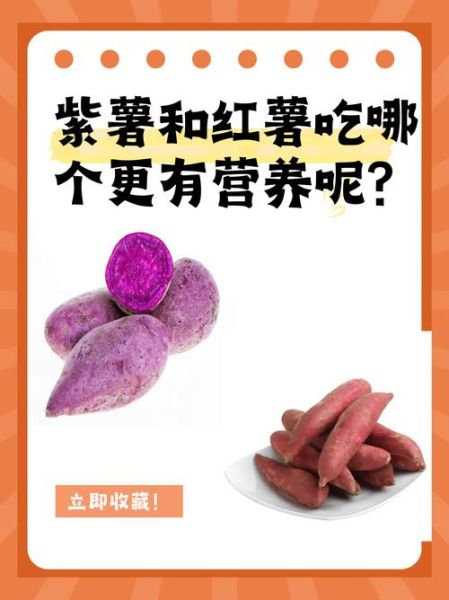 红薯和紫薯哪个更有营养_糖尿病人能吃红薯吗-第1张图片-山城妙识 红薯和紫薯哪个更有营养_糖尿病人能吃红薯吗-第1张图片-山城妙识