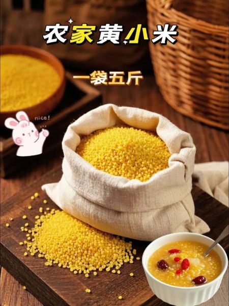 小米粥怎么熬粘稠又香又黄_小米粥怎样熬出米油-第3张图片-山城妙识 小米粥怎么熬粘稠又香又黄_小米粥怎样熬出米油-第3张图片-山城妙识