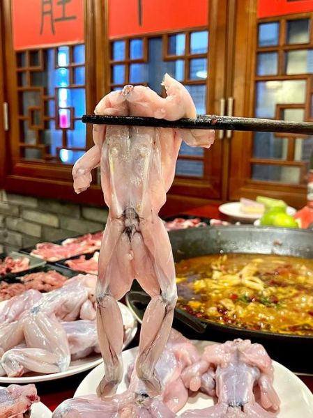 牛蛙长什么样子_牛蛙外形特征图解-第1张图片-山城妙识 牛蛙长什么样子_牛蛙外形特征图解-第1张图片-山城妙识