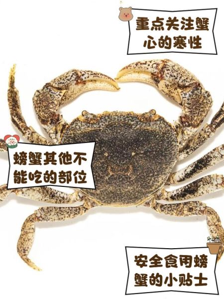 第一次吃螃蟹怎么吃图解_螃蟹哪些部位不能吃-第2张图片-山城妙识