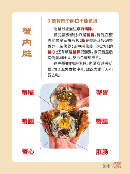第一次吃螃蟹怎么吃图解_螃蟹哪些部位不能吃-第3张图片-山城妙识