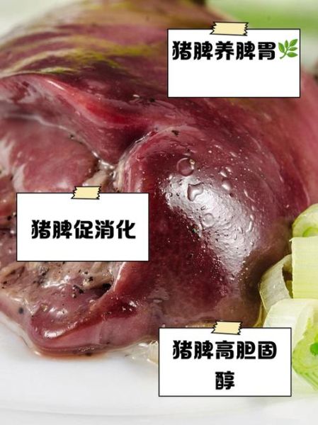猪脾脏为什么没人吃_猪脾脏能吃吗-第2张图片-山城妙识 猪脾脏为什么没人吃_猪脾脏能吃吗-第2张图片-山城妙识