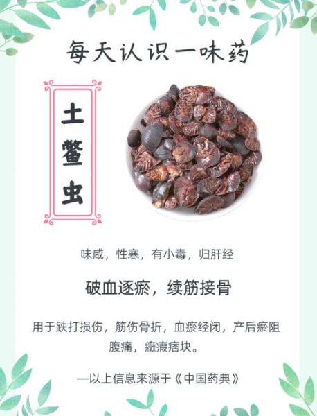 土鳖虫有毒吗_土鳖虫毒性对人体影响-第1张图片-山城妙识 土鳖虫有毒吗_土鳖虫毒性对人体影响-第1张图片-山城妙识