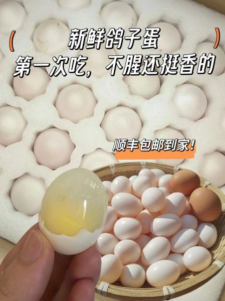 女人一天吃几个鸽子蛋_鸽子蛋每天吃多少合适-第3张图片-山城妙识
