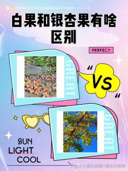 白果树和银杏树一样吗_白果树与银杏树的区别-第1张图片-山城妙识