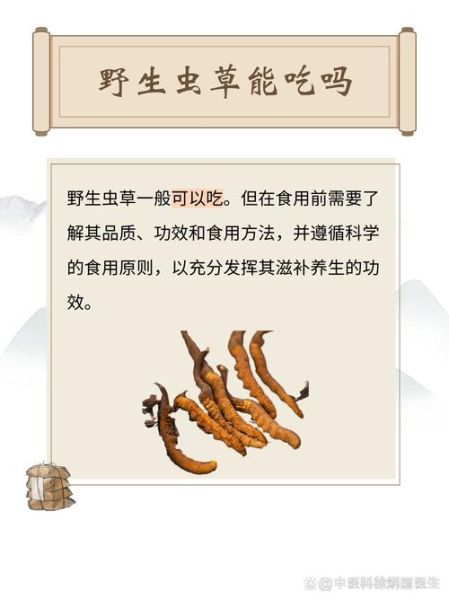 男人吃虫草能提高性功能吗_虫草壮阳多久见效-第3张图片-山城妙识
