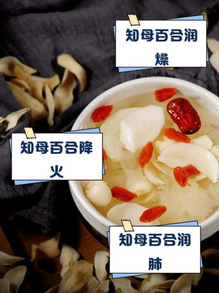 百合的功效与作用_百合怎么吃最好-第1张图片-山城妙识