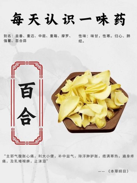 百合的功效与作用_百合怎么吃最好-第2张图片-山城妙识