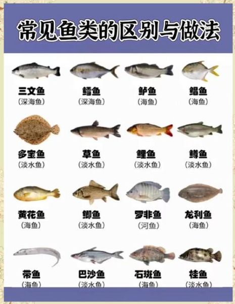 常见食用海鱼有哪些_海鱼营养价值排行榜-第1张图片-山城妙识