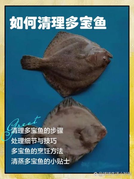 多宝鱼怎么去内脏_多宝鱼清理内脏视频教程-第1张图片-山城妙识 多宝鱼怎么去内脏_多宝鱼清理内脏视频教程-第1张图片-山城妙识