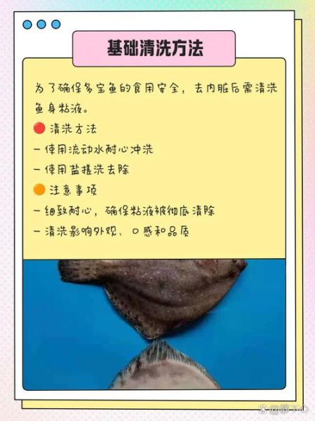 多宝鱼怎么去内脏_多宝鱼清理内脏视频教程-第2张图片-山城妙识 多宝鱼怎么去内脏_多宝鱼清理内脏视频教程-第2张图片-山城妙识